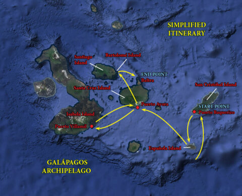 Wildlife Wonders of The Galápagos Islands - Redfern Adventures